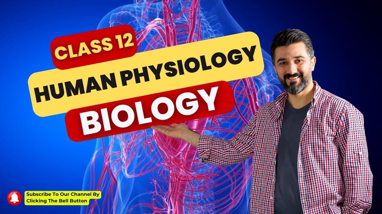 Human Physiology Class 12 | Biology | Digestive System | Respiratory ...