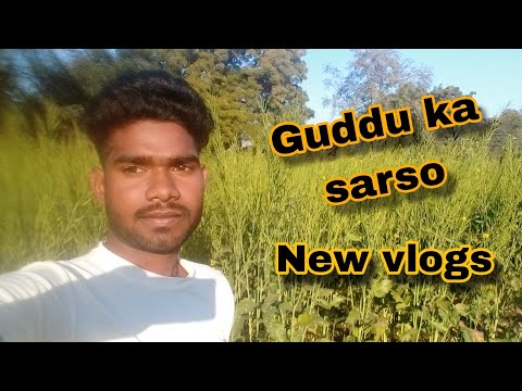 guddu ka sarso New vlogs #vlog #gudduvlog #vlogviral