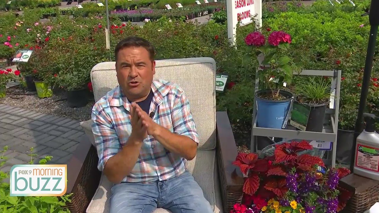 Ask the Gardener! Dale K answers your top summer gardening questions ...
