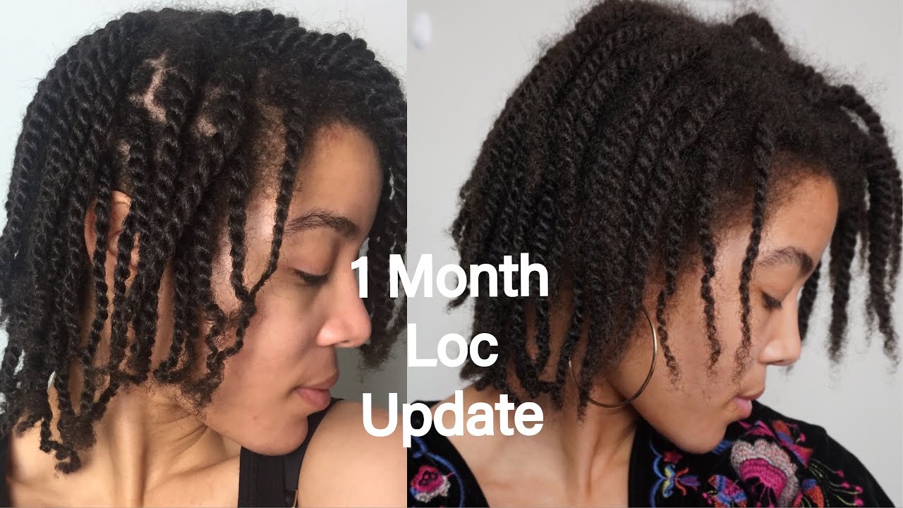 1 Month Loc Journey | Visual Update | Two Strand Twist Starter Locs ...
