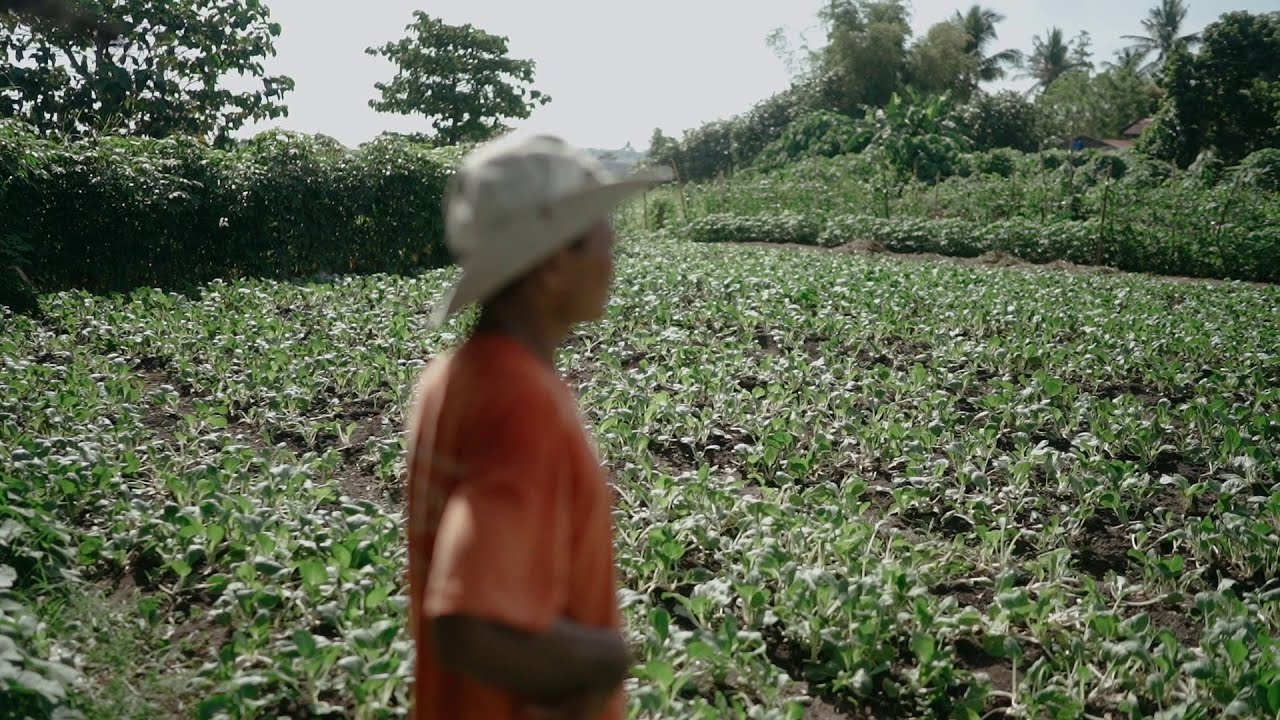 ParSU Project Completion Video of the Bicol River Basin Studies - YouTube