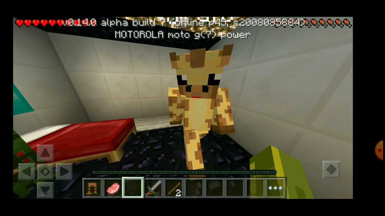 Minecraft 3 la amistad - YouTube
