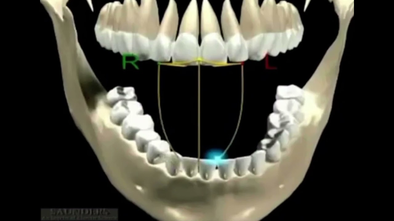 Polígono de posselt frontal - YouTube