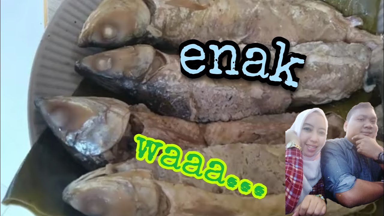 BANDENG ISI - YouTube