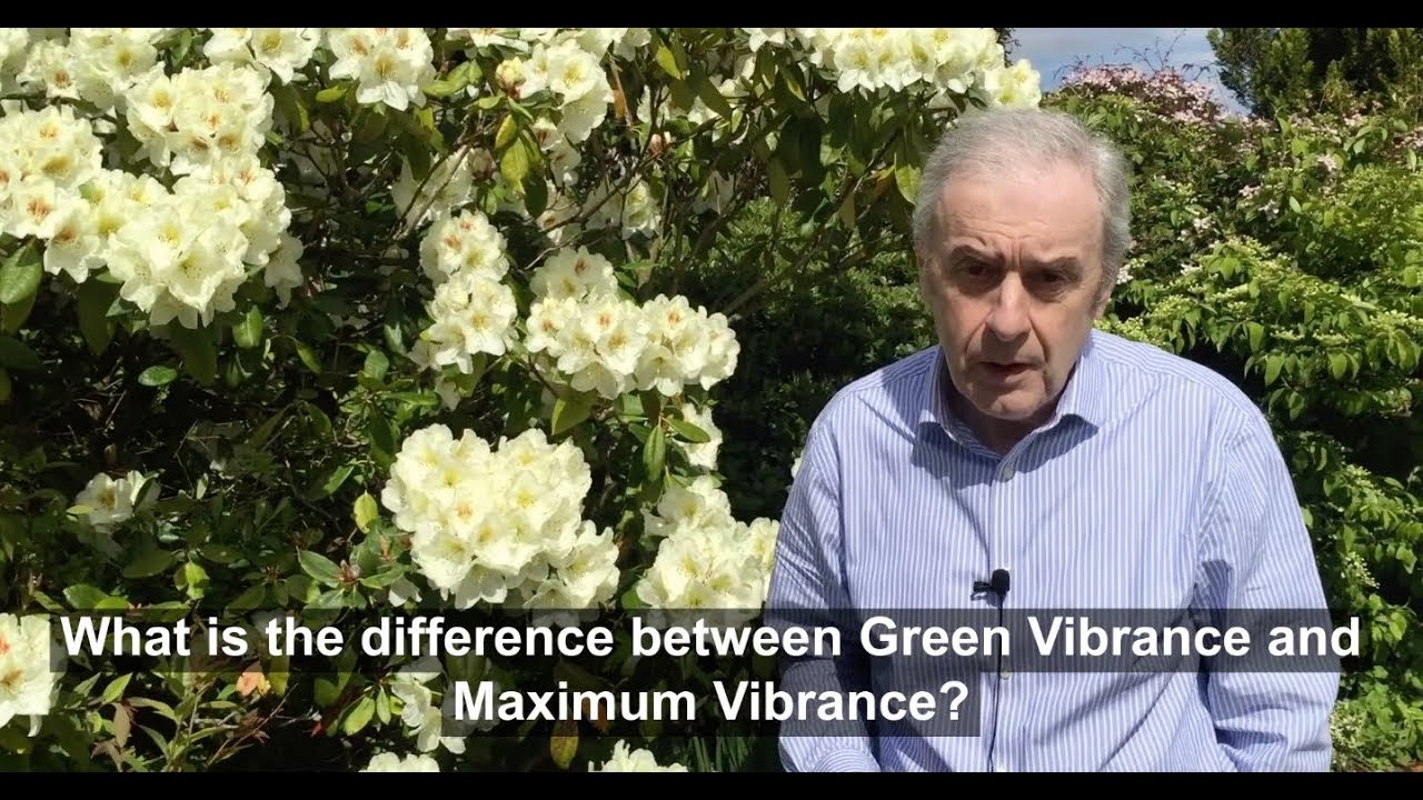Green Vibrance vs Maximum Vibrance: Which is Best? - YouTube