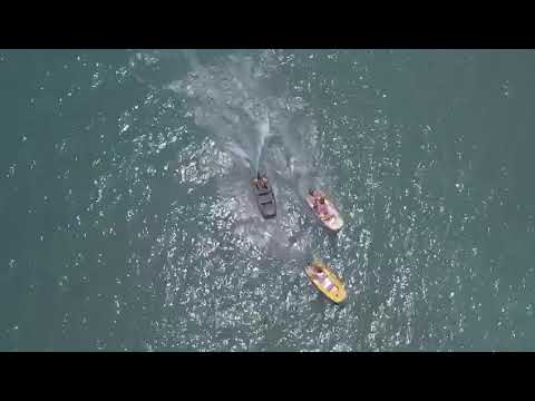 Pan’s Marine Polietilen Tekne - YouTube