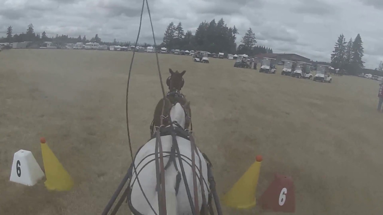 EI CDE 2018 Cones Rachel Eldred Tandem Preliminary VSE - YouTube