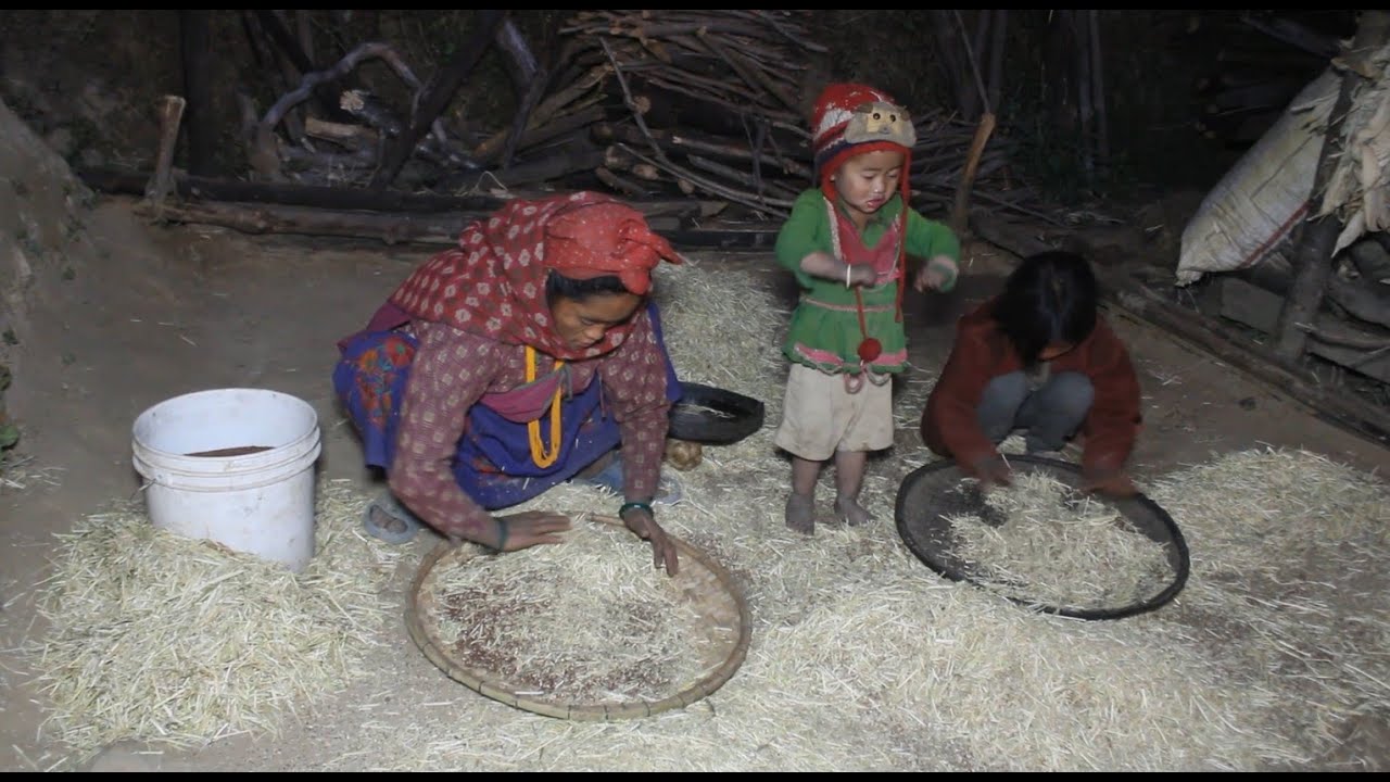 Myvillage official videos EP 783 || Traditional working technology in ...