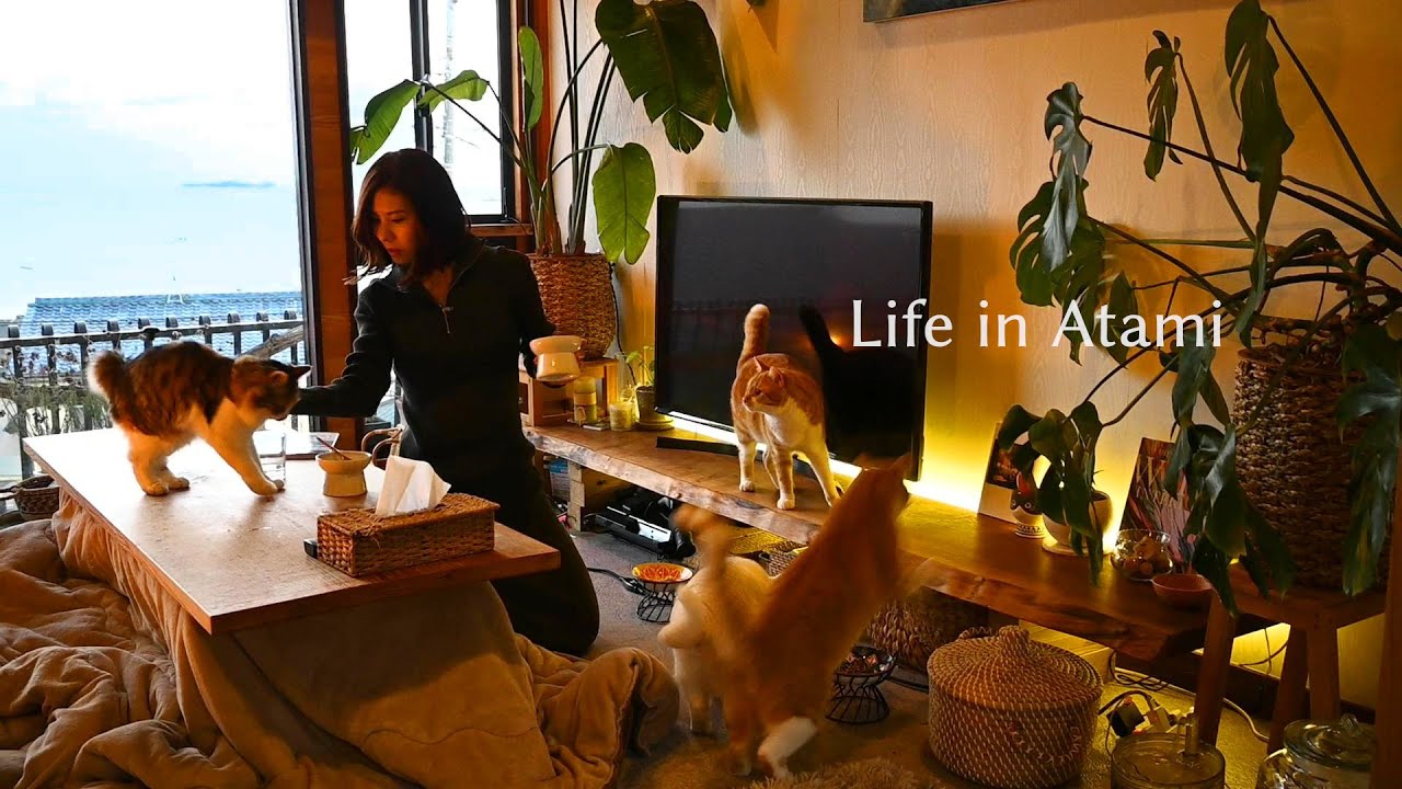 ネコがくる Life in Atamiの最新動画｜YouTubeランキング