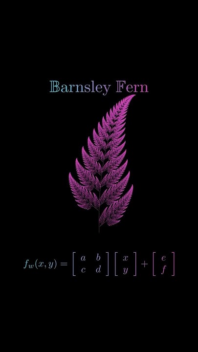 The Magic of Barnsley Fern 🌿 | Fractal Animation - YouTube