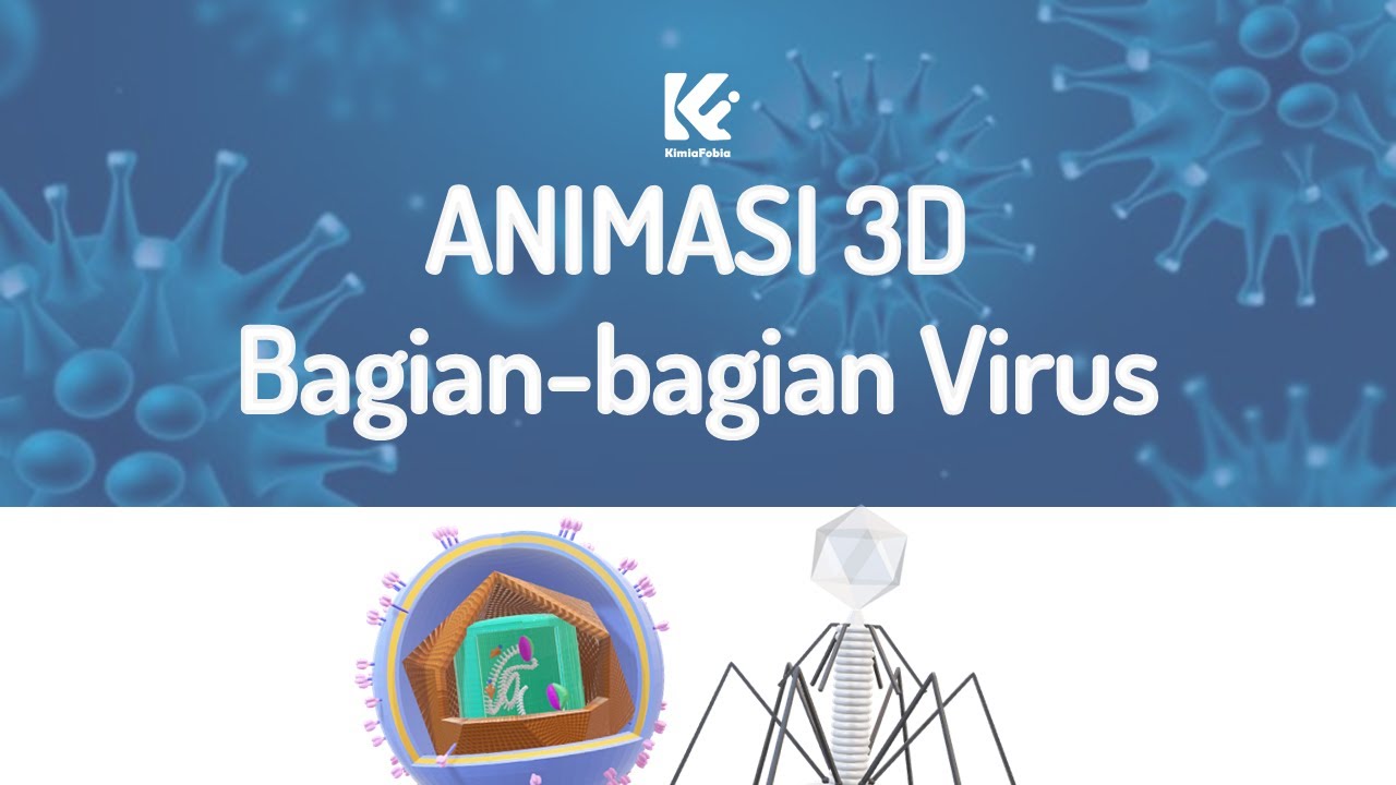 Animasi 3D Bagian-bagian Virus (Virus Bulat dan Virus T) - YouTube