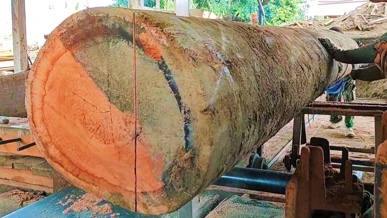 cara penggergajian batang kayu Meranti merah. - YouTube