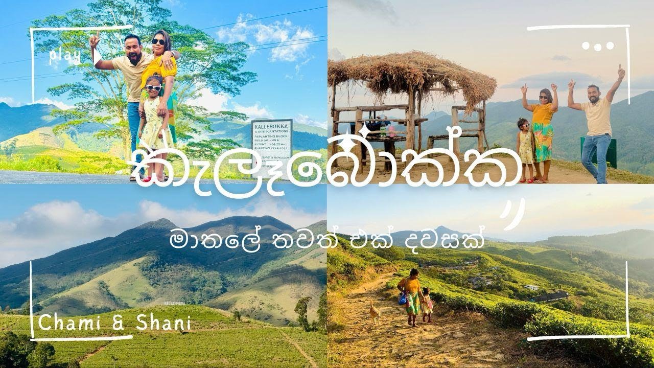 Most beautiful Kelebokka in Mathale district , මාතලේ කැලෑබොක්ක,අයෙත් ...