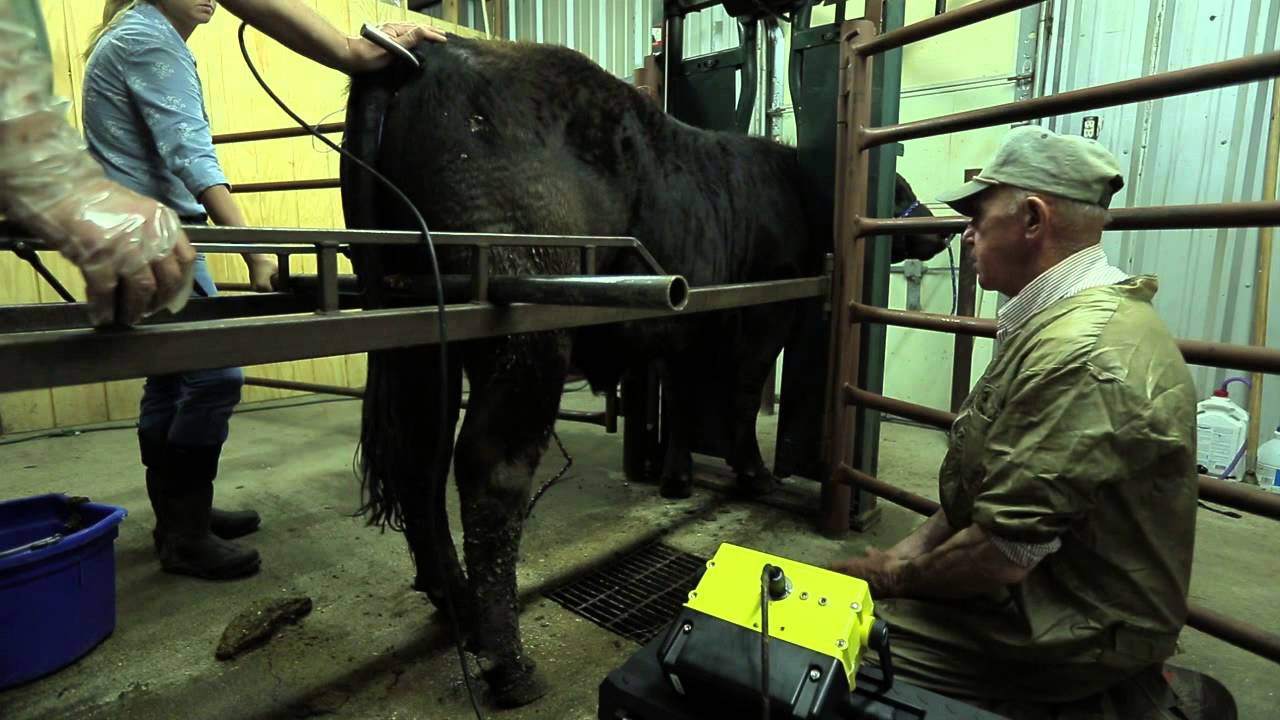 Pulsator IV - YouTube