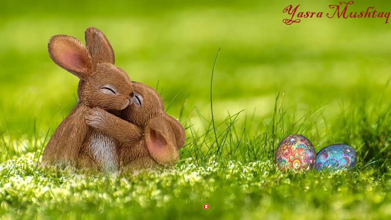 Easter ____ Bunny _____ True ____ Messiah | No Copyright Music |Vlog ...