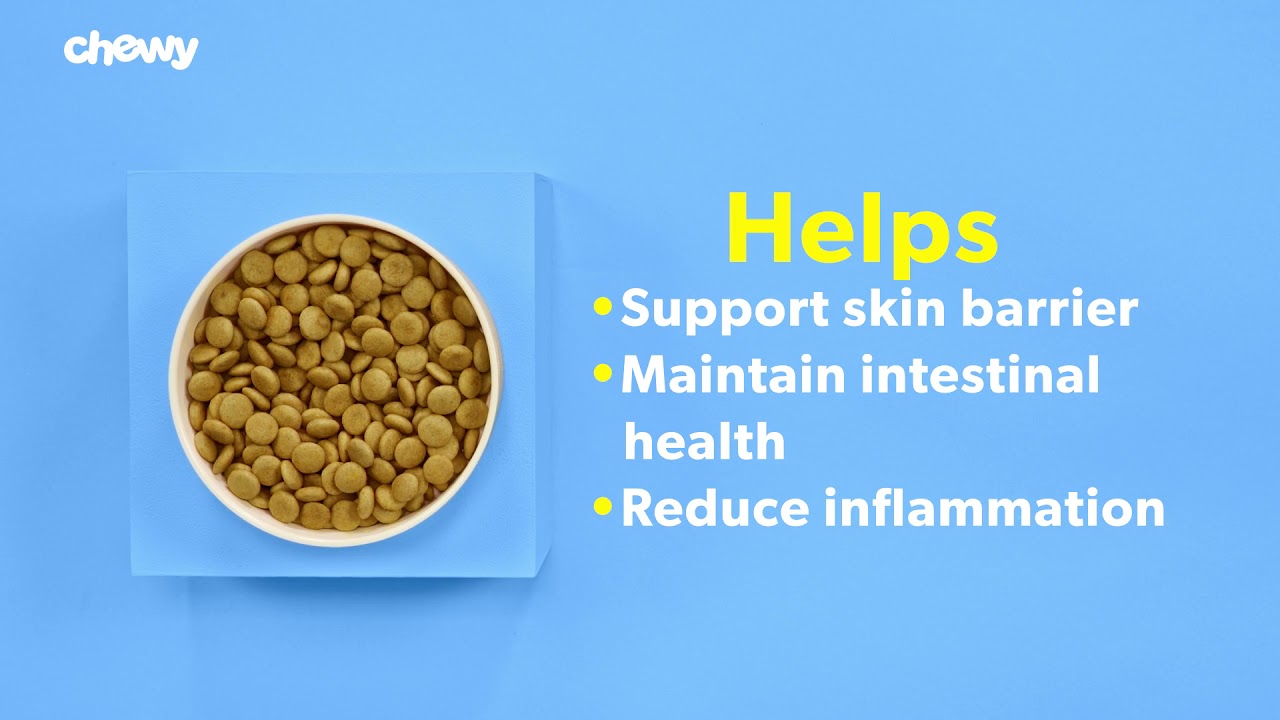 Video :Royal Canin Veterinary Diet Hydrolyzed Protein HP Dry Dog Food ...