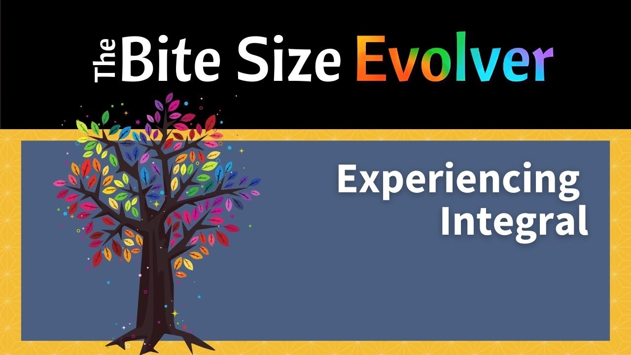 Experiencing Integral: Letters from Second Tier - YouTube