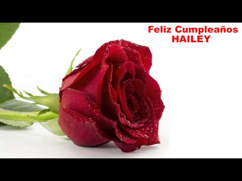 Hailey - flowers - Happy Birthday