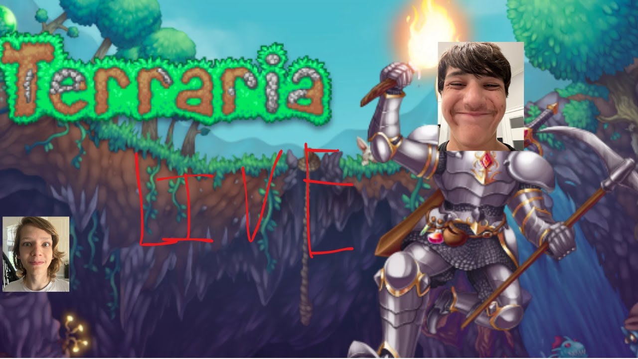 One Terraria pro and one Terraria noob | Live - YouTube