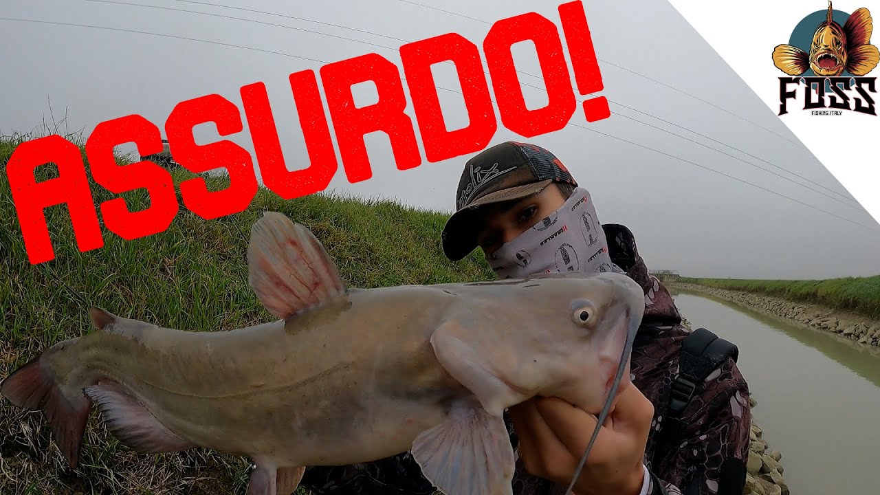 FOSS FISHING PRE INVERNALE ESTREMO! - (mangiate e catture ...