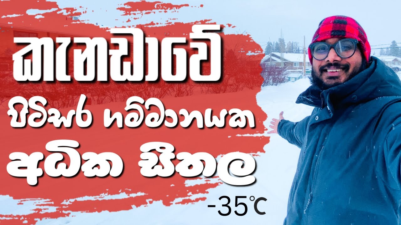 කැනඩාවේ ගමක හිම කුනාටුවේ පළමු දිනය 🇨🇦 | 1st Day of Snow Storm in ...