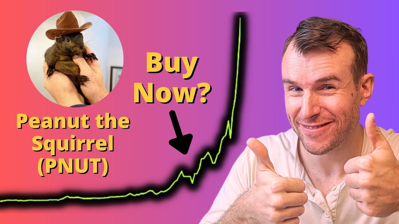 How High Can PNUT Go? 🤩 Peanut the Squirrel Crypto Token Analysis - YouTube