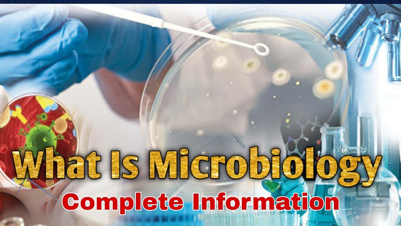 What Is Microbiology? माइक्रोबायोलॉजी क्या है? Microbiology Guide - YouTube