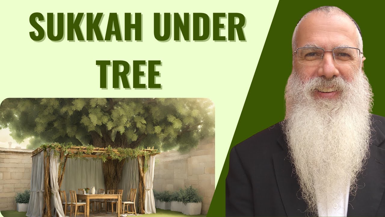 Mishnah Sukkah. Chapter 1 Mishna 2. Sukkah under tree - YouTube