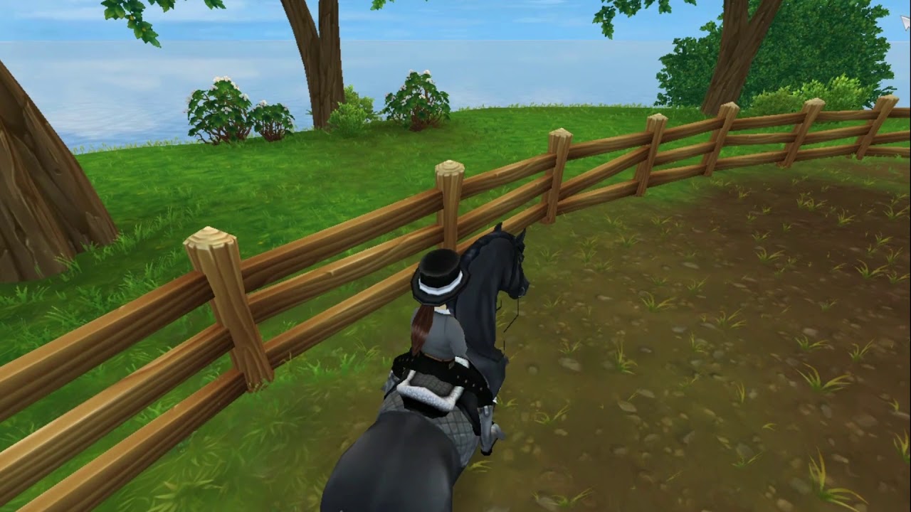 6 simple dressage moves - YouTube