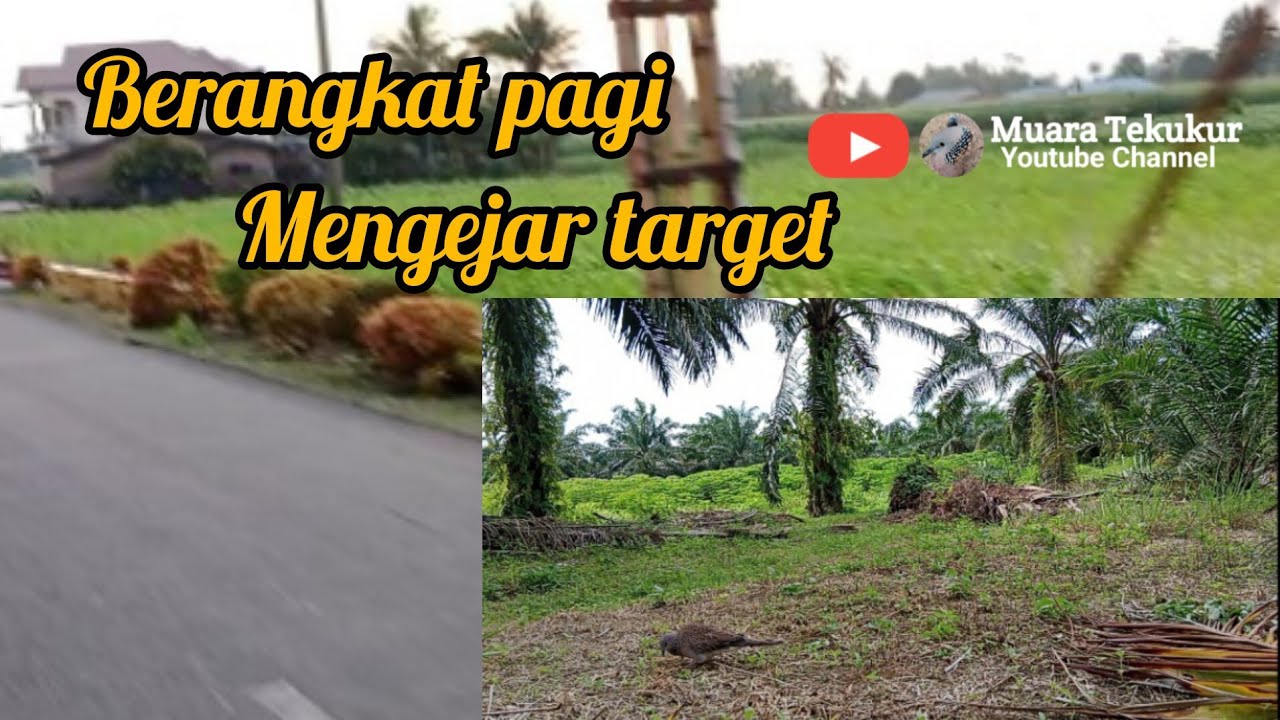 Berangkat pagi untuk mengejar target - YouTube