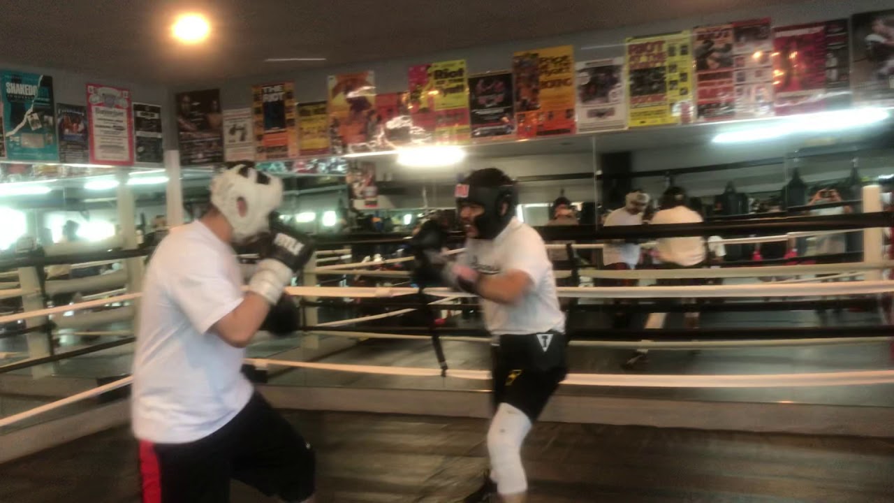 Boxing match- TKO !!!! #fight #boxing #KO - YouTube