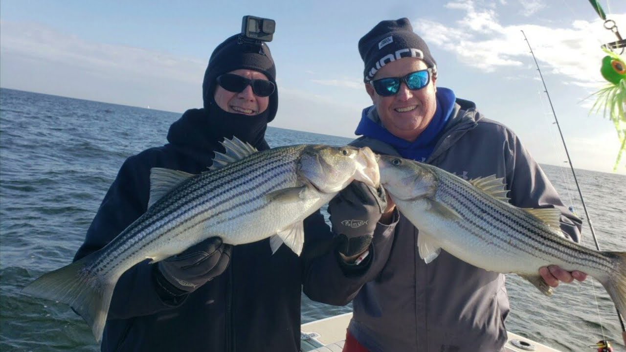 100+ Rockfish off Point Lookout, Blue Angels, Ninjas and I hit my 30 ...