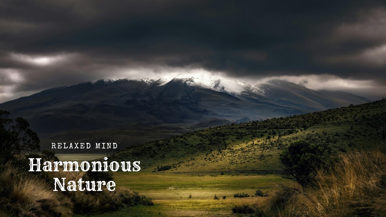 Harmonious Nature: Relaxing Music and Beautiful Landscapes - YouTube