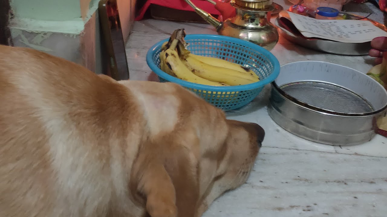 Jerry And Adi is live aao baten karen - YouTube