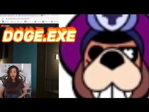 DOGE.EXE - YouTube