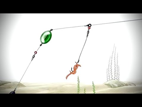 THE BEST EEL FISHING RIGS - YouTube