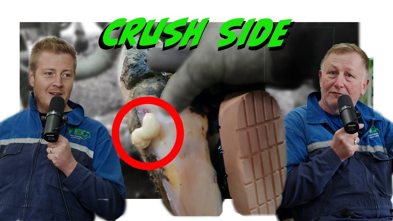 We're back and HOOVES are POPPING OFF | Crush Side - YouTube