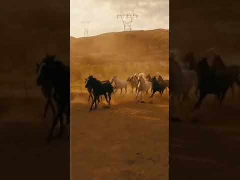 Karanlıktı Zilan ( Seslendiren Narko)