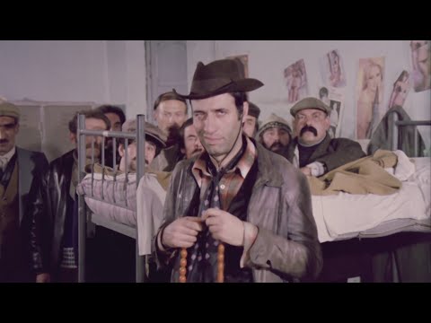CS:GO - | AWP | Saksıya fesleğen gibi oturturum