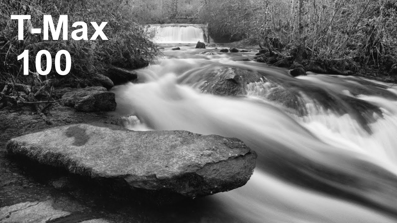 Kodak T Max 100, Another Look at This Black and White Film for 35mm ...