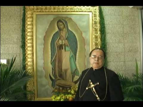La historia de Juan Diego y el significado de la Virgen de Guadalupe ...