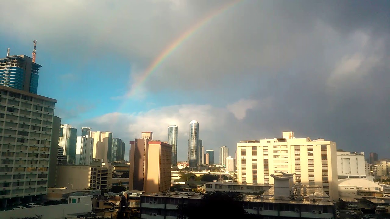 Good Morning New Years 2021-from a Stay Put Person in Honolulu 📣😷💖 ...