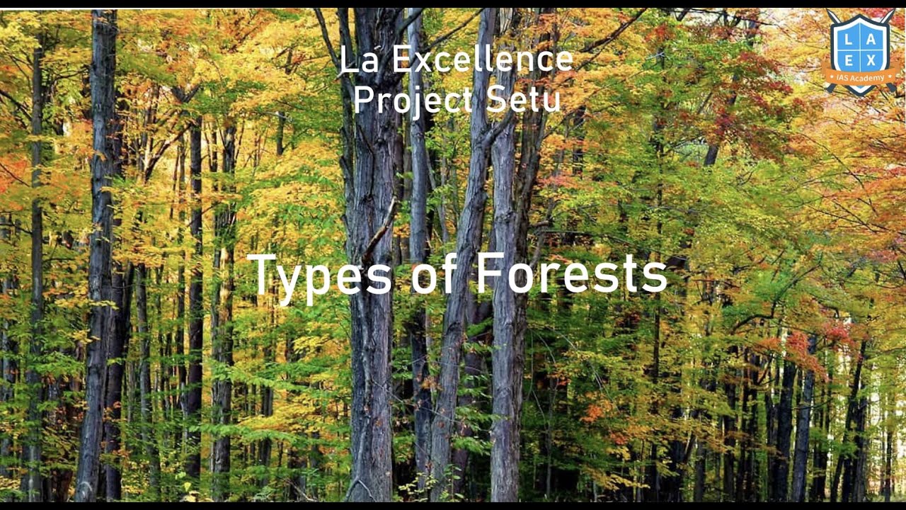 Types of Forests || అడవులు - రకాలు || Project Setu ||Mana La Excellence ...