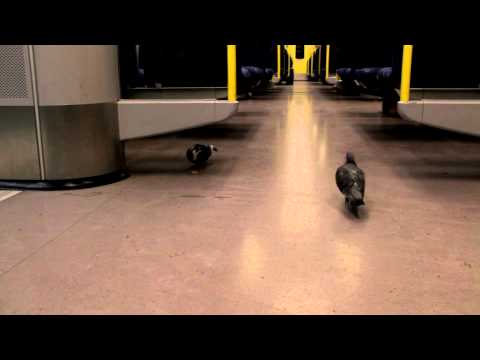 2014-01-04 Fripassagerare åker tunnelbana