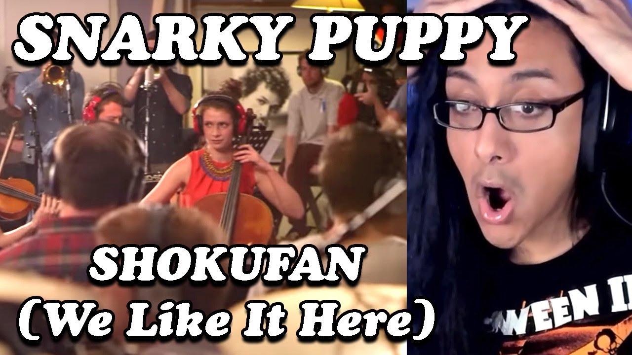 Snarky Puppy | Shokufan (We Like It Here) | Reaction | First Listen ...