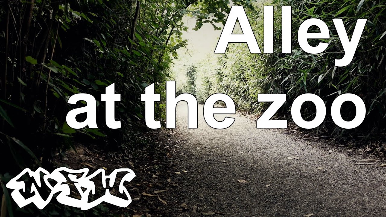 Alley at the Zoo - DJ Duras - Nature, Chill & Mystery | Relaxing Sounds ...