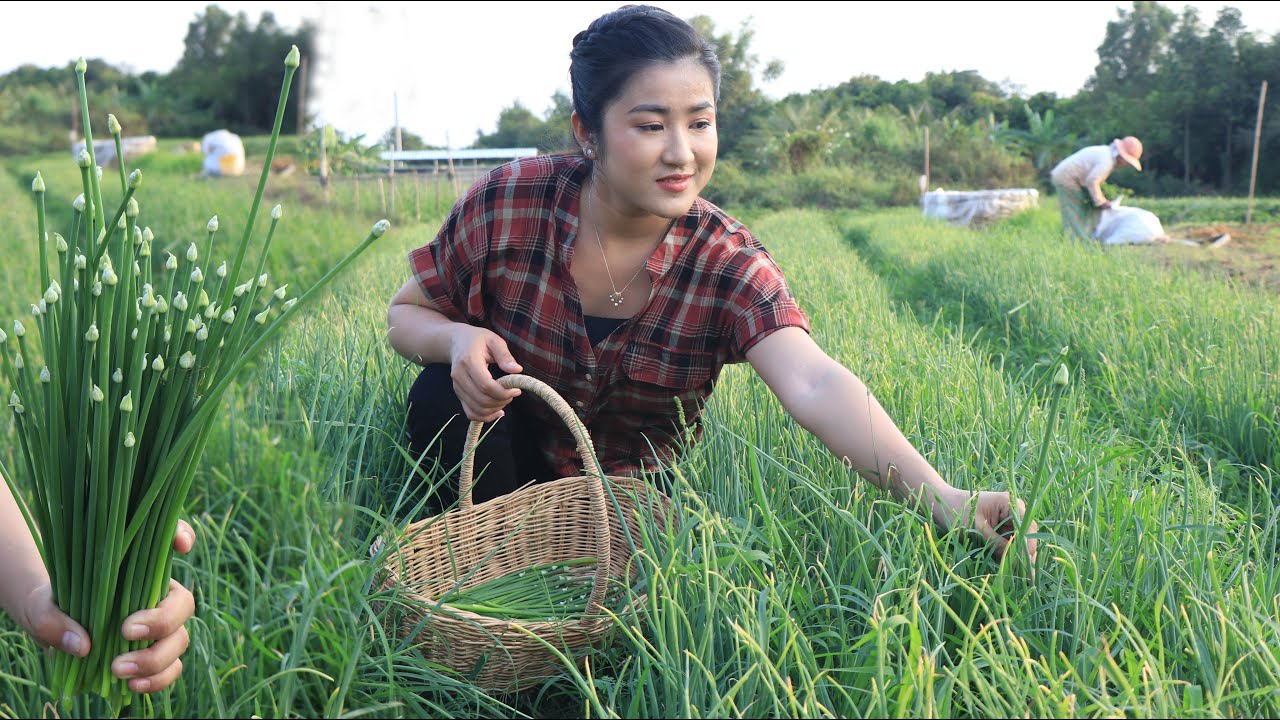 Have you ever use garlic flower for cooking? / Stir-fry garlic flower ...