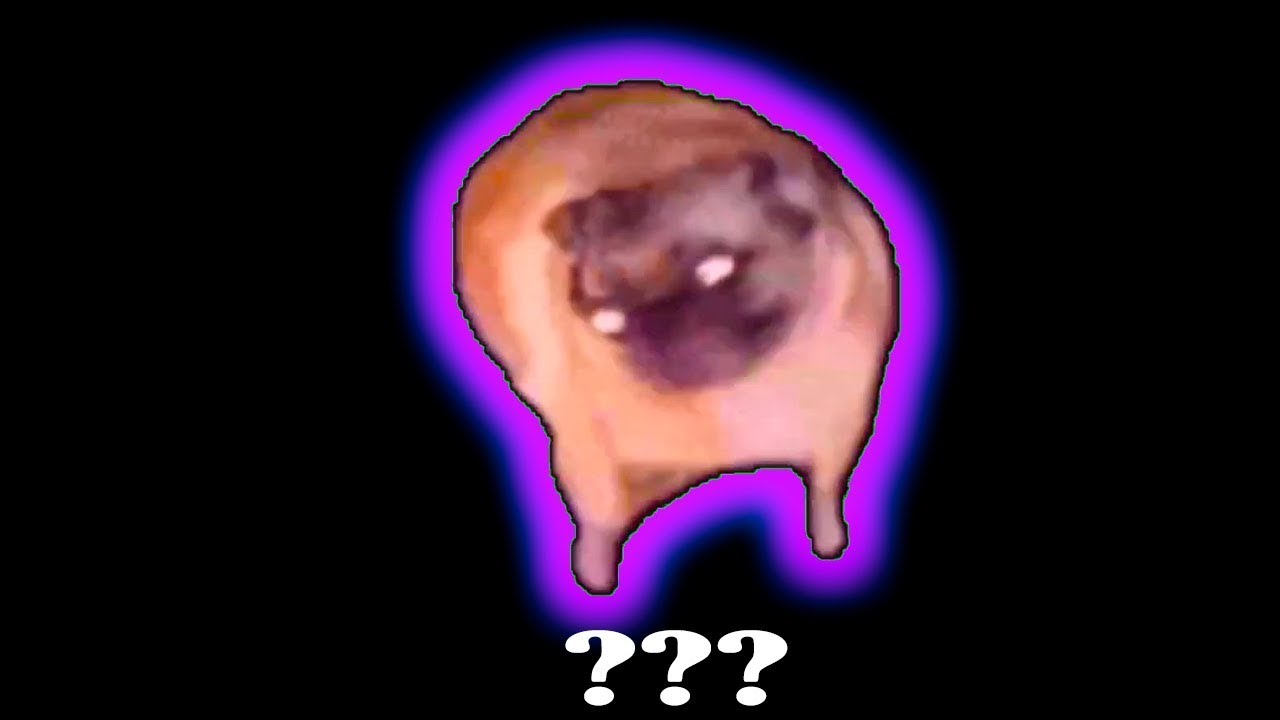 10 Pug dancing to fnaf music box Sound Variations in 40 seconds - YouTube