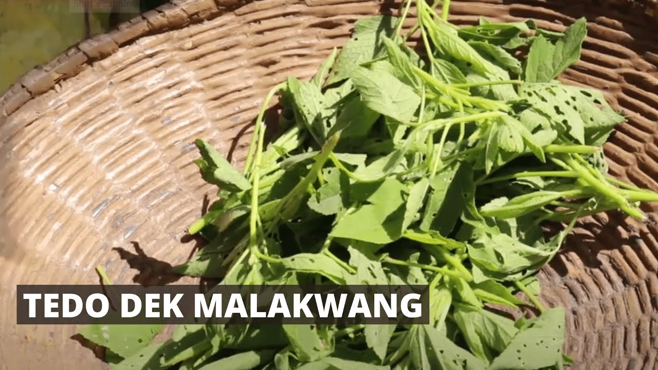 Tedo dek malakwang - YouTube