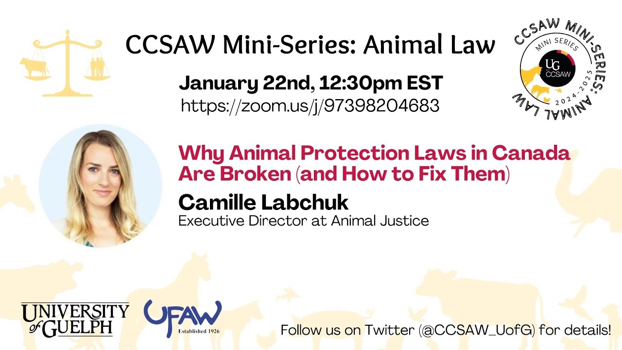 Why Animal Protection Laws in Canada Are Broken (and How to Fix Them ...